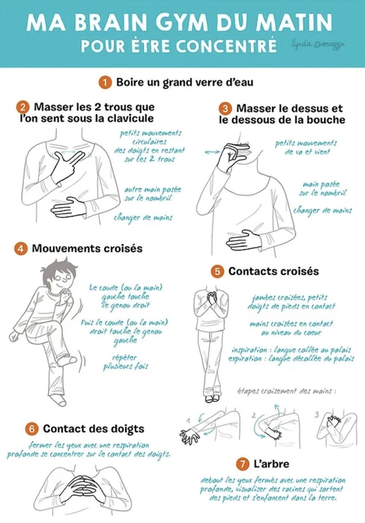 Qu’est-ce que le brain gym ? | Connai'Sens